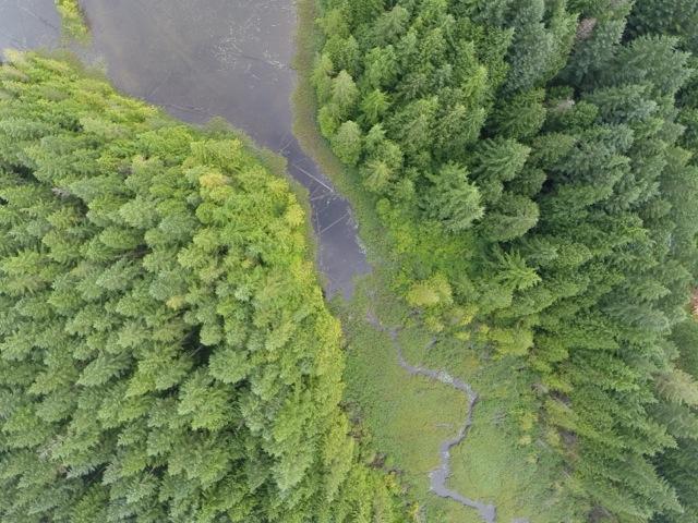 Lake Comida [IMAGE] | EurekAlert! Science News Releases