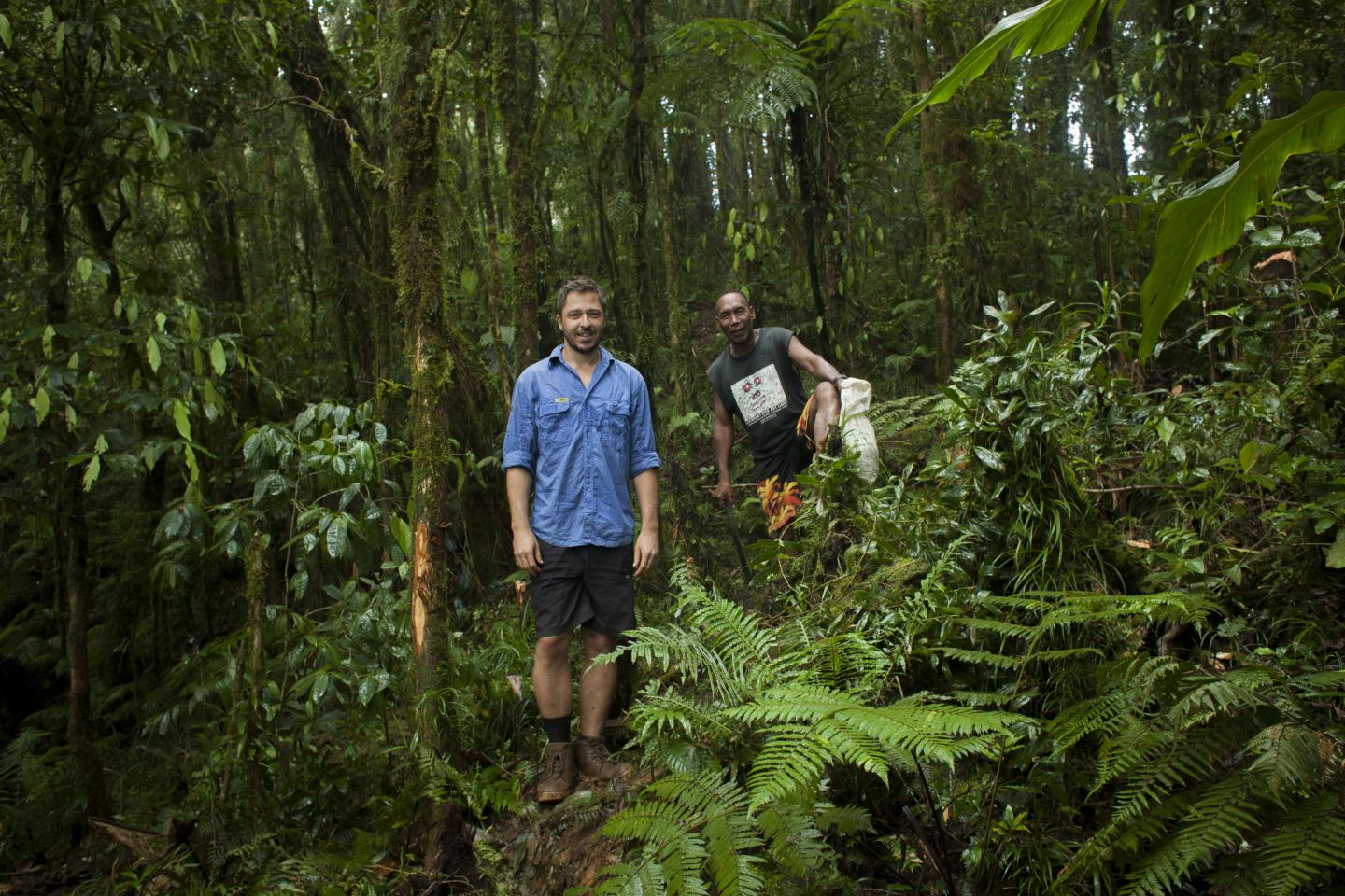 How a rat and bat helped heal a 90-year cultu | EurekAlert!