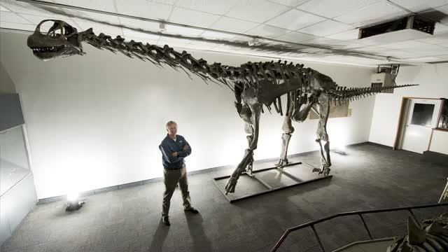 Researchers discover Moabosaurus in Utah's 'g | EurekAlert!
