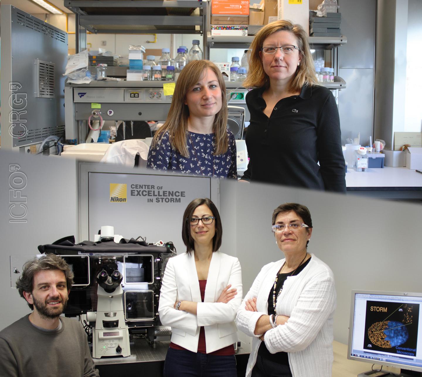 ICFO/CRG Research Team [IMAGE] | EurekAlert! Science News Releases