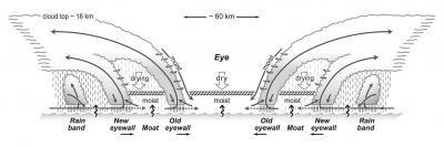 Moat Graphic [IMAGE] | EurekAlert! Science News Releases