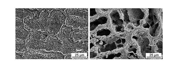 Researchers Strengthen Weakest [IMAGE] | EurekAlert! Science News Releases