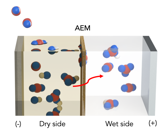 AEM Scheme [IMAGE] | EurekAlert! Science News Releases