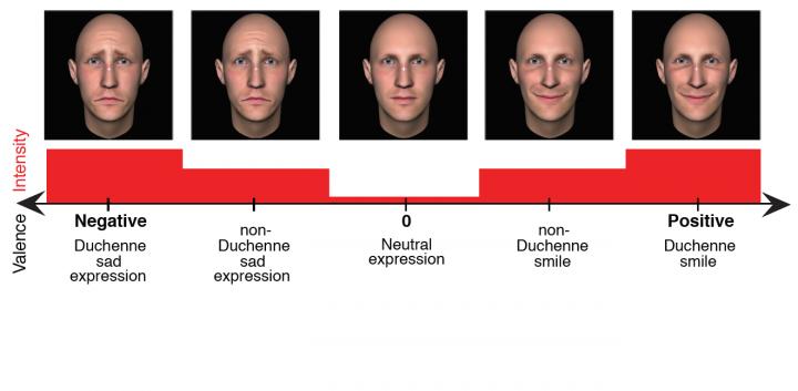 Facial Expressions Chart