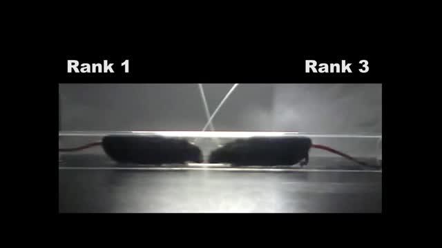 A Neural Switch for Becoming Alpha Male (2 of | EurekAlert!