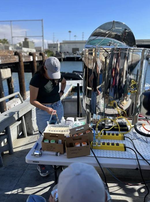 Ocean-inspired tech could spee [IMAGE] | EurekAlert! Science News Releases