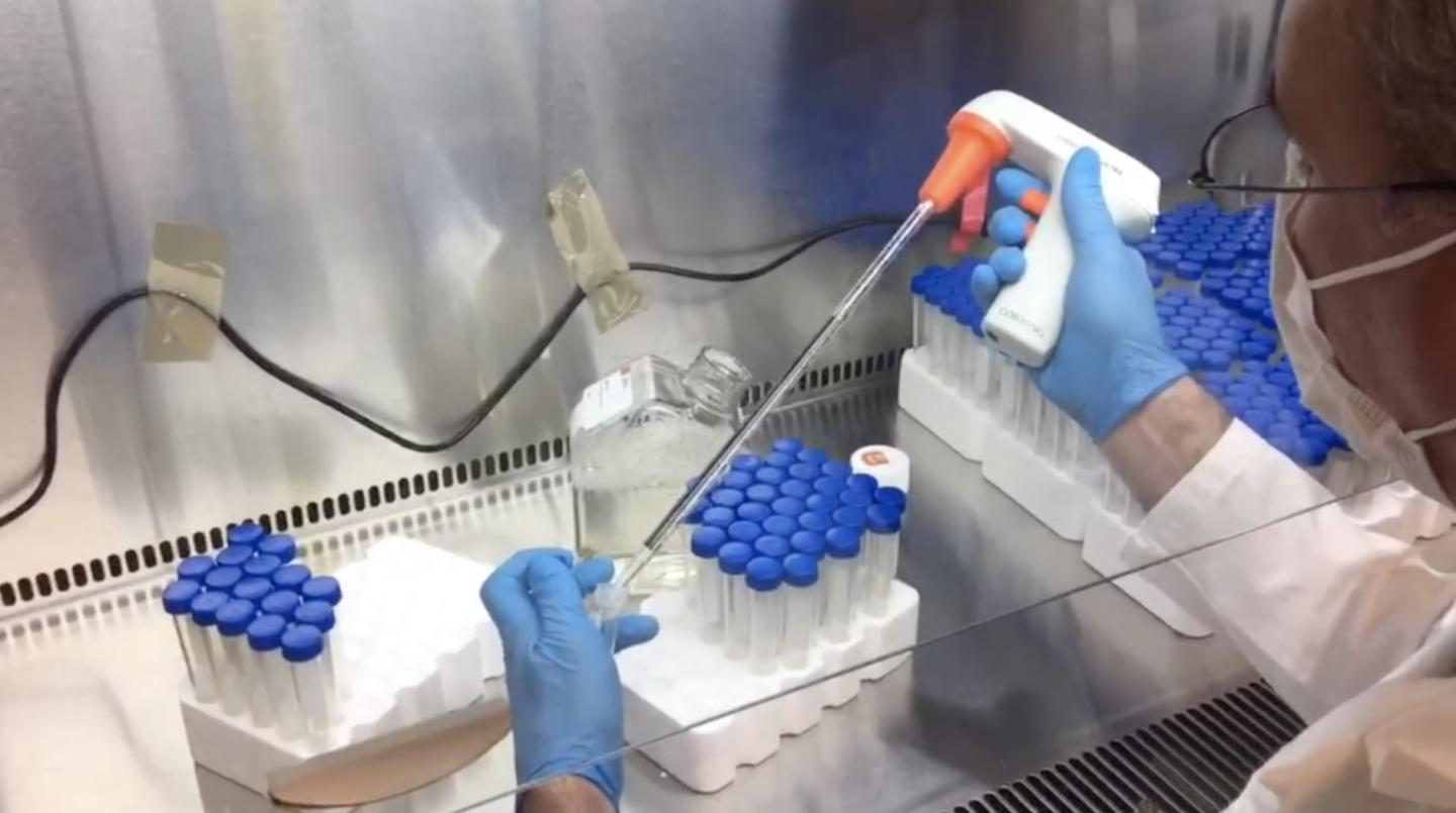 Aliquoting the Medium [IMAGE] | EurekAlert! Science News Releases