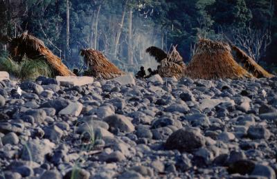 Agta Camp [IMAGE] | EurekAlert! Science News Releases