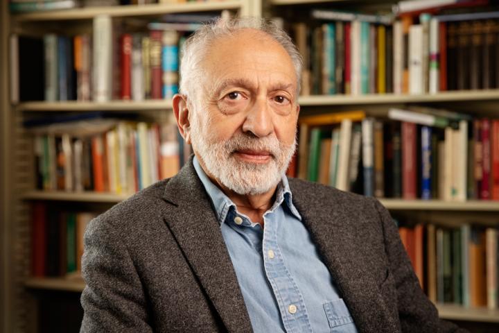 Linguist Dennis Baron [IMAGE] | EurekAlert! Science News Releases