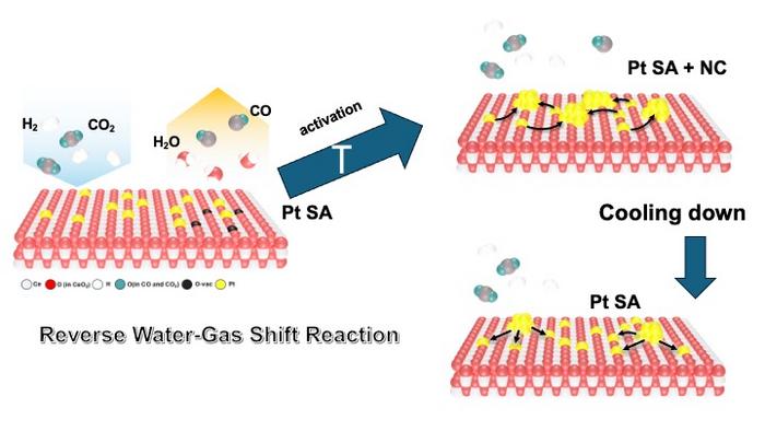 catalyst assembly schematic [IMAGE] | EurekAlert! Science News Releases