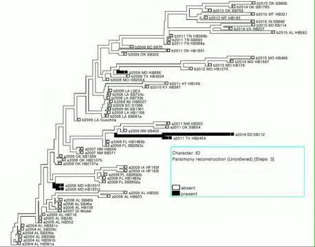 Creationists Are Evolving their Anti-Evolutio | EurekAlert!