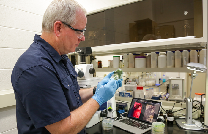 Microbes as symbiotic partners [IMAGE] | EurekAlert! Science News Releases