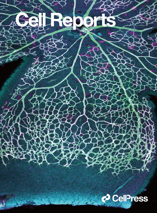 Cell Reports cover image by Dr [IMAGE] | EurekAlert! Science News Releases