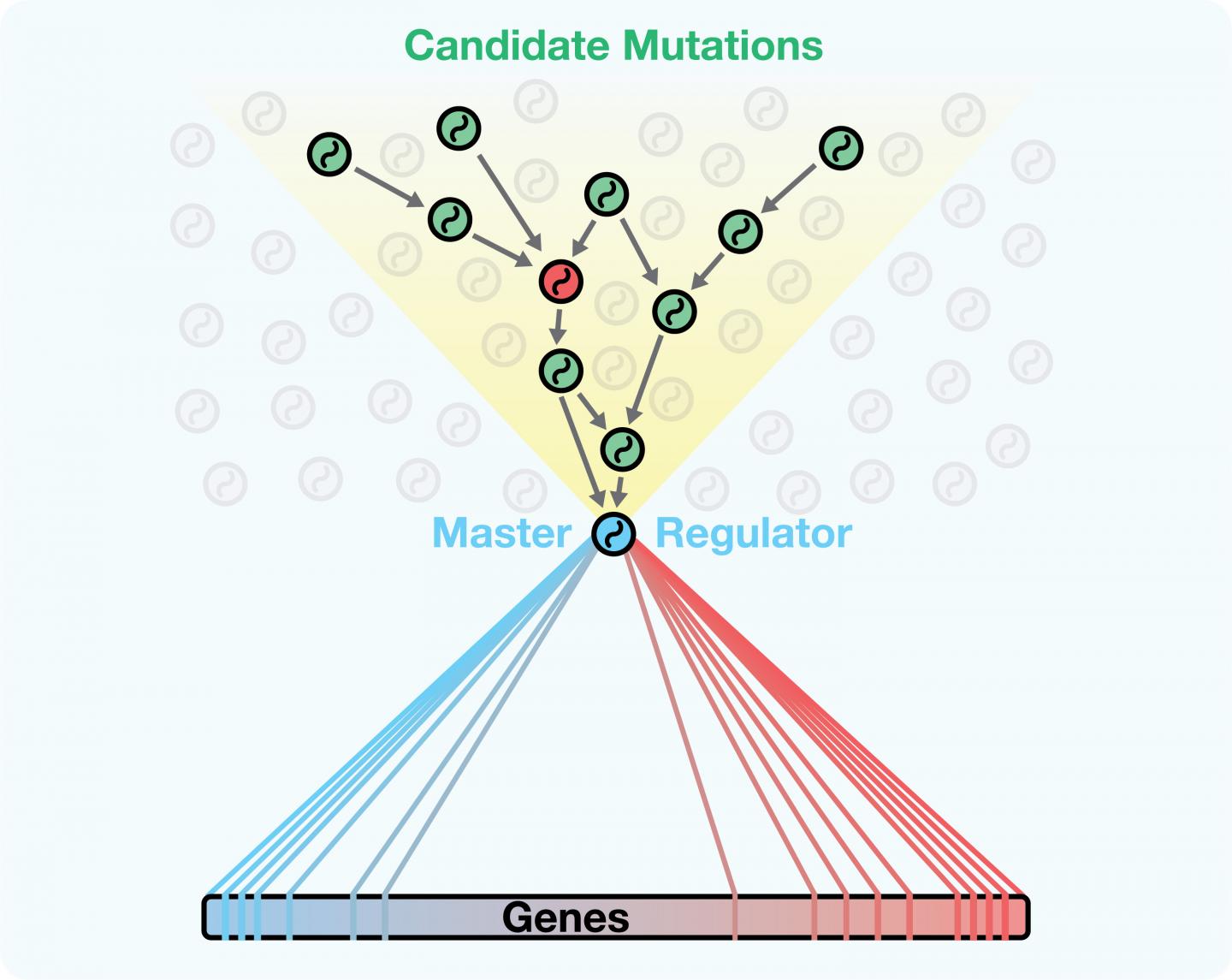 New Computational Approach Fin [IMAGE] | EurekAlert! Science News Releases