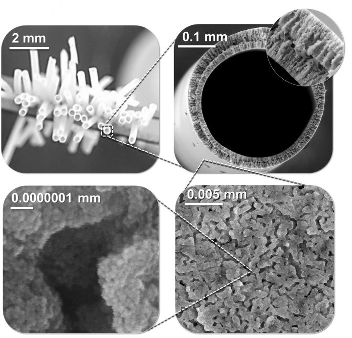 Bijel Filter with Detail and S [IMAGE] | EurekAlert! Science News Releases