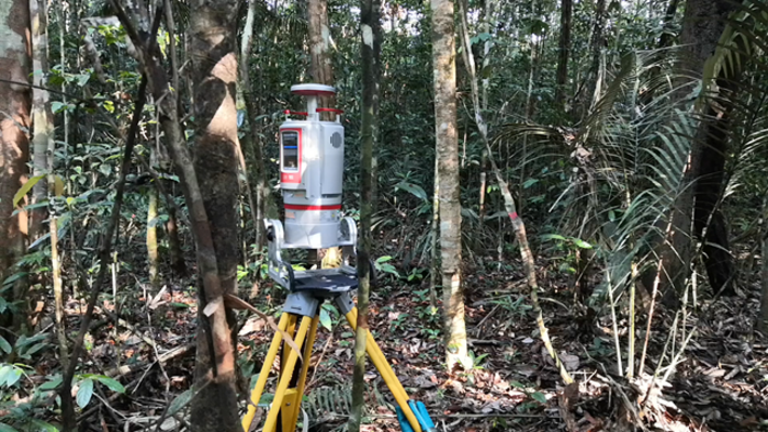 Tall trees in the Amazon can suffer from warm | EurekAlert!