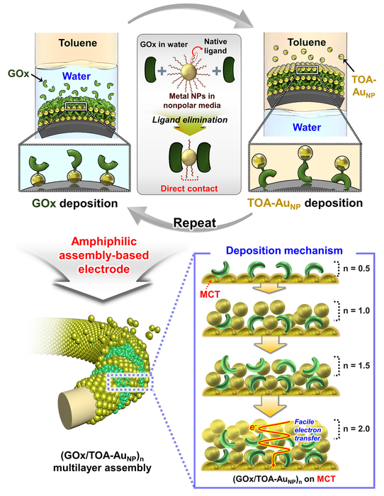 Electrode Design Paves Way for [IMAGE] | EurekAlert! Science News Releases