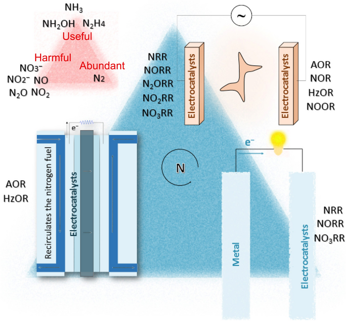 Balancing the nitrogen cycle [IMAGE] | EurekAlert! Science News Releases