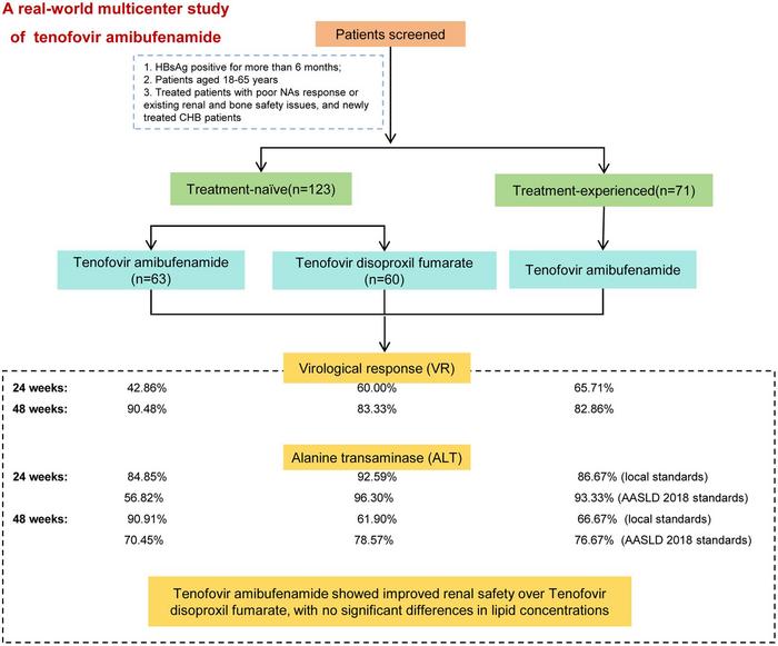 Effectiveness and safety of tenofovir amibufe | EurekAlert!