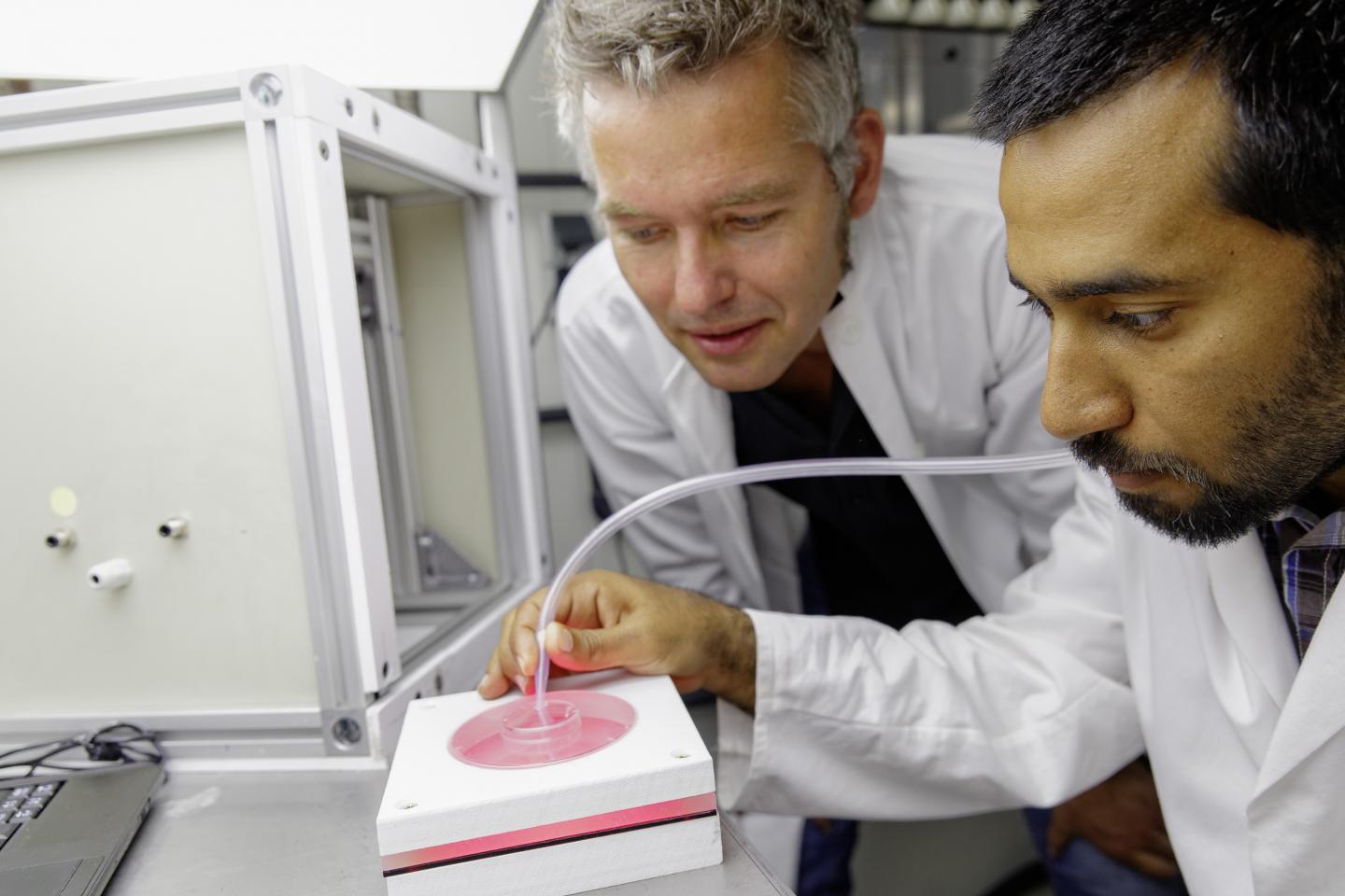 Markus Knaden and Hany Dweck, [IMAGE] | EurekAlert! Science News Releases