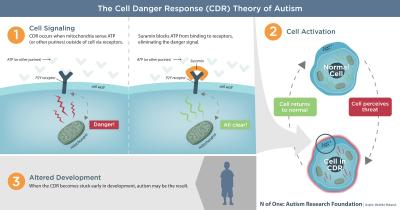 The Cell Danger Response Theor [IMAGE] | EurekAlert! Science News Releases