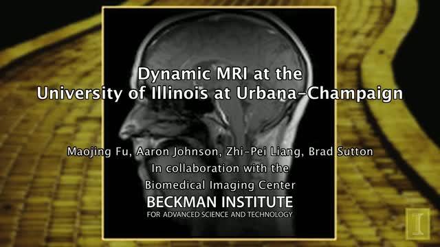 New super-fast MRI technique demonstrated wit | EurekAlert!