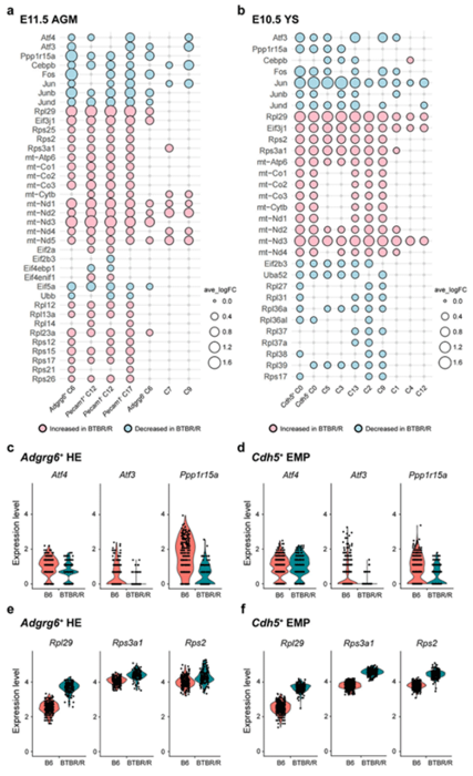 Figure 3: Single-cell RNA anal [IMAGE] | EurekAlert! Science News Releases