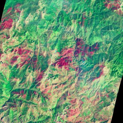 Gold Pan Complex Fire | EurekAlert!