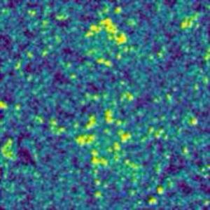 Super microscope shows nanoscale biological p | EurekAlert!