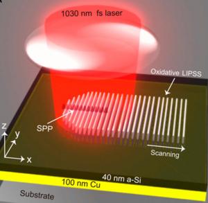 Femtosecond laser burst: a tool for regulatin | EurekAlert!