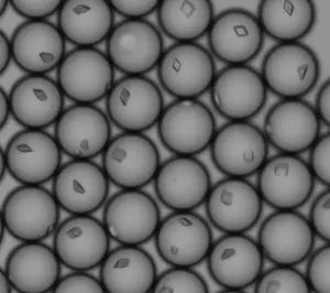 High speed protein movies to aid drug design | EurekAlert!