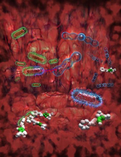 Hidden Pockets of Antibiotic Resistance in th | EurekAlert!