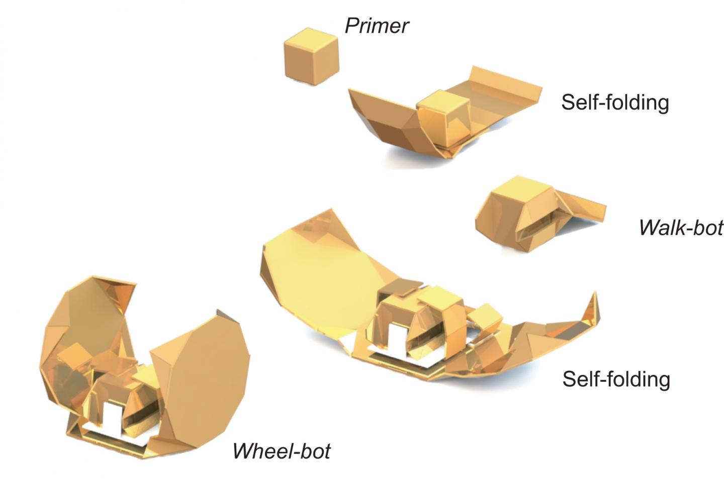 Robot Morphs on Demand Using 'Self-folding' O | EurekAlert!