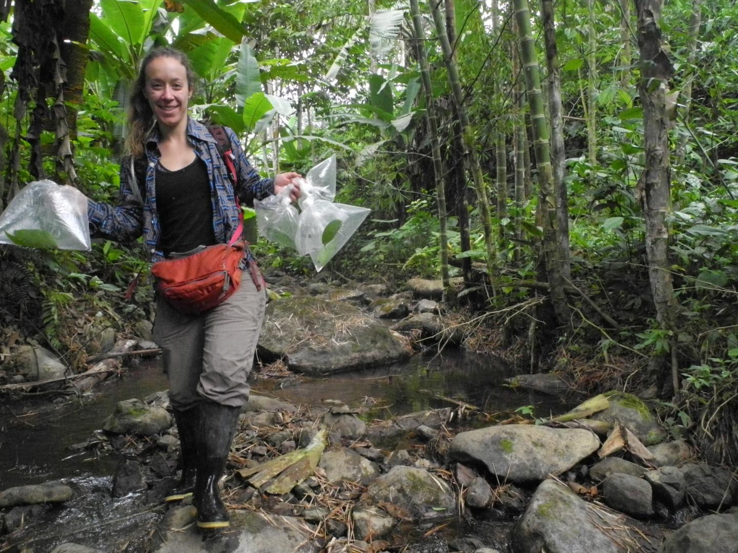 The 'Paradox' of Poisonous Frog Resistance ag | EurekAlert!