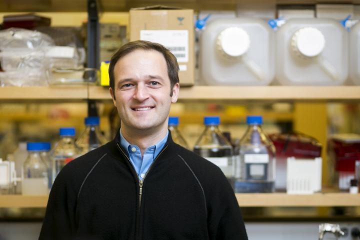 James Munro, Tufts University [IMAGE] | EurekAlert! Science News Releases