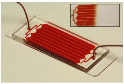 HB-Chip [IMAGE] | EurekAlert! Science News Releases