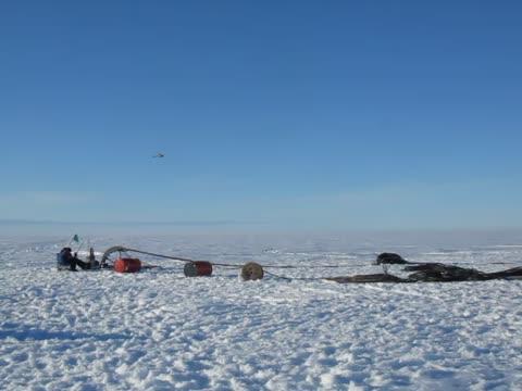 If the Shelf Melts, the Ice Flows (9 of 9) | EurekAlert!