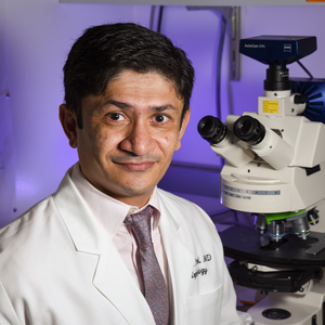UT Southwestern researchers identify a gene t | EurekAlert!