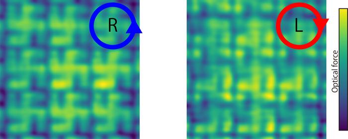 Figure 4: Optical force images [IMAGE] | EurekAlert! Science News Releases