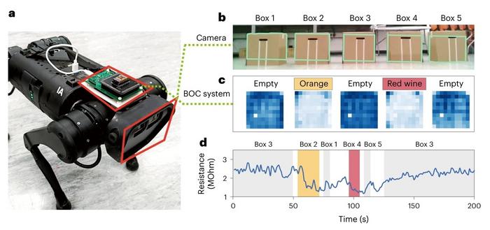 Configuration of Prof. Fan’s b [IMAGE] | EurekAlert! Science News Releases