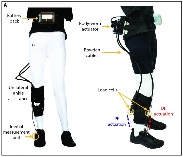 Soft Robotic Exosuits Help Patients Walk Afte | EurekAlert!