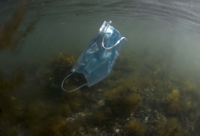 Face mask floating in water [IMAGE] | EurekAlert! Science News Releases