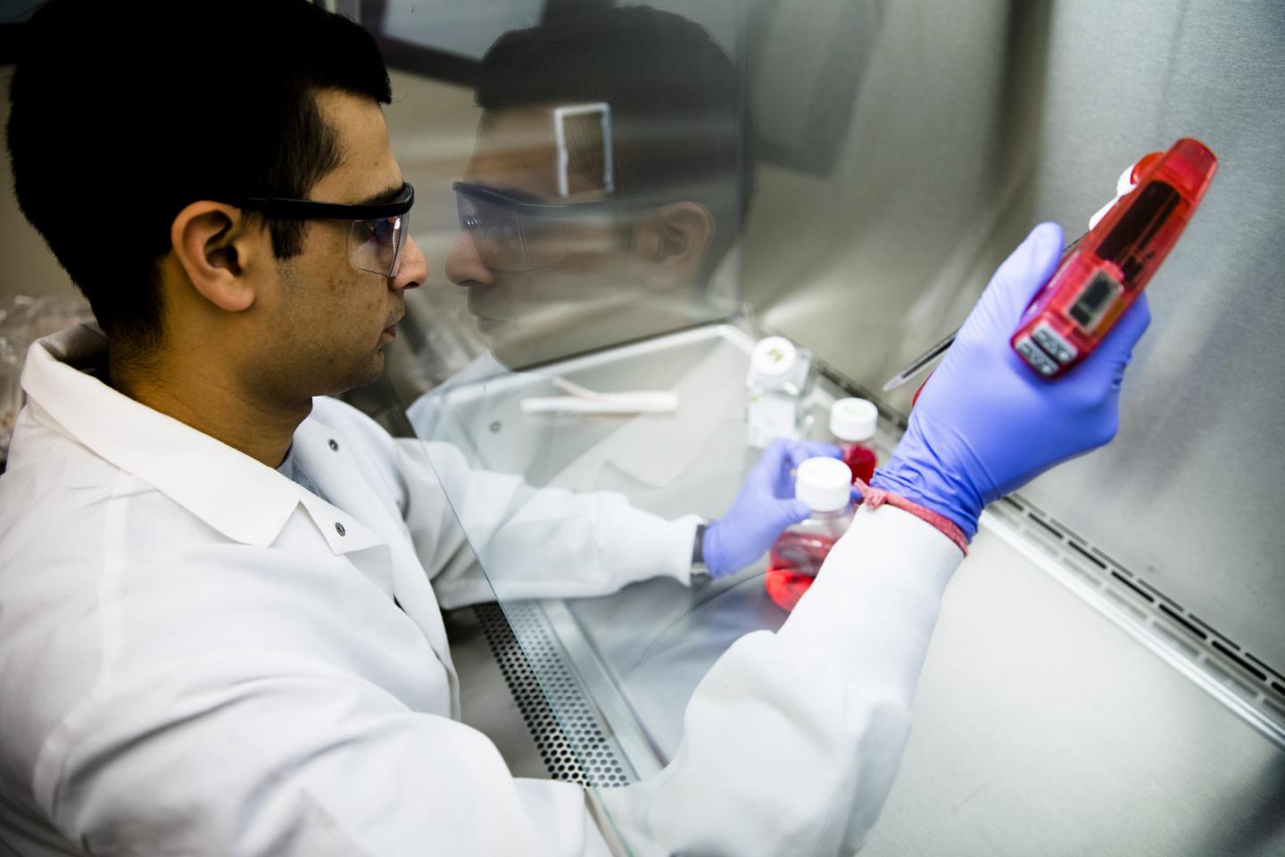 Diagnostic Pill [IMAGE] | EurekAlert! Science News Releases