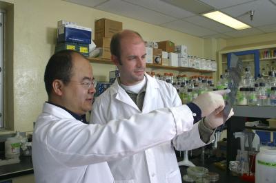 Dr. Hongwei Yu, Marshall Unive [IMAGE] | EurekAlert! Science News Releases