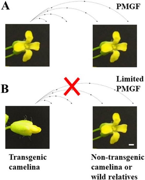 Figure 1. [IMAGE] | EurekAlert! Science News Releases