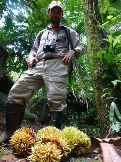 Special Issue on Earth's Disappearing Animals | EurekAlert!