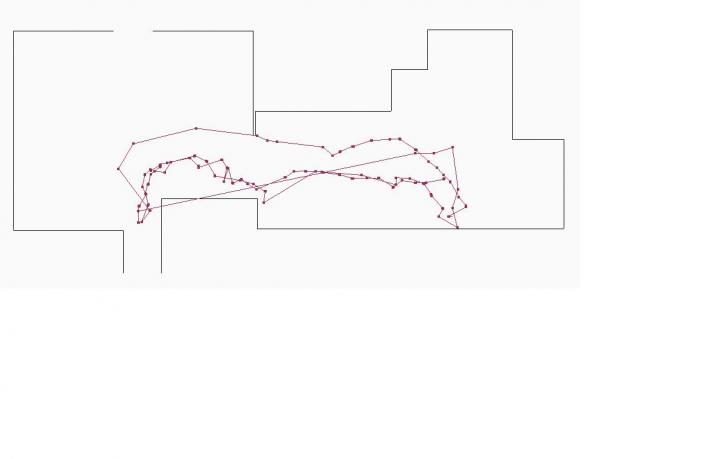Walking Pattern of ALF Residen [IMAGE] | EurekAlert! Science News Releases