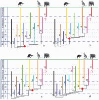 Mesozoic mammals -- what do we know from Chin | EurekAlert!