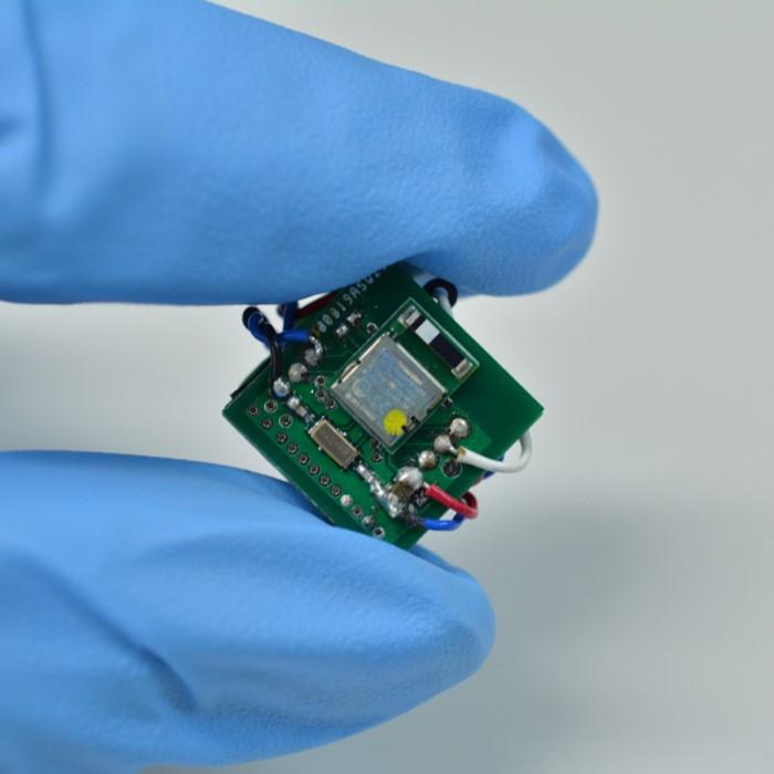 Fabricated wireless neuronal r [IMAGE] | EurekAlert! Science News Releases