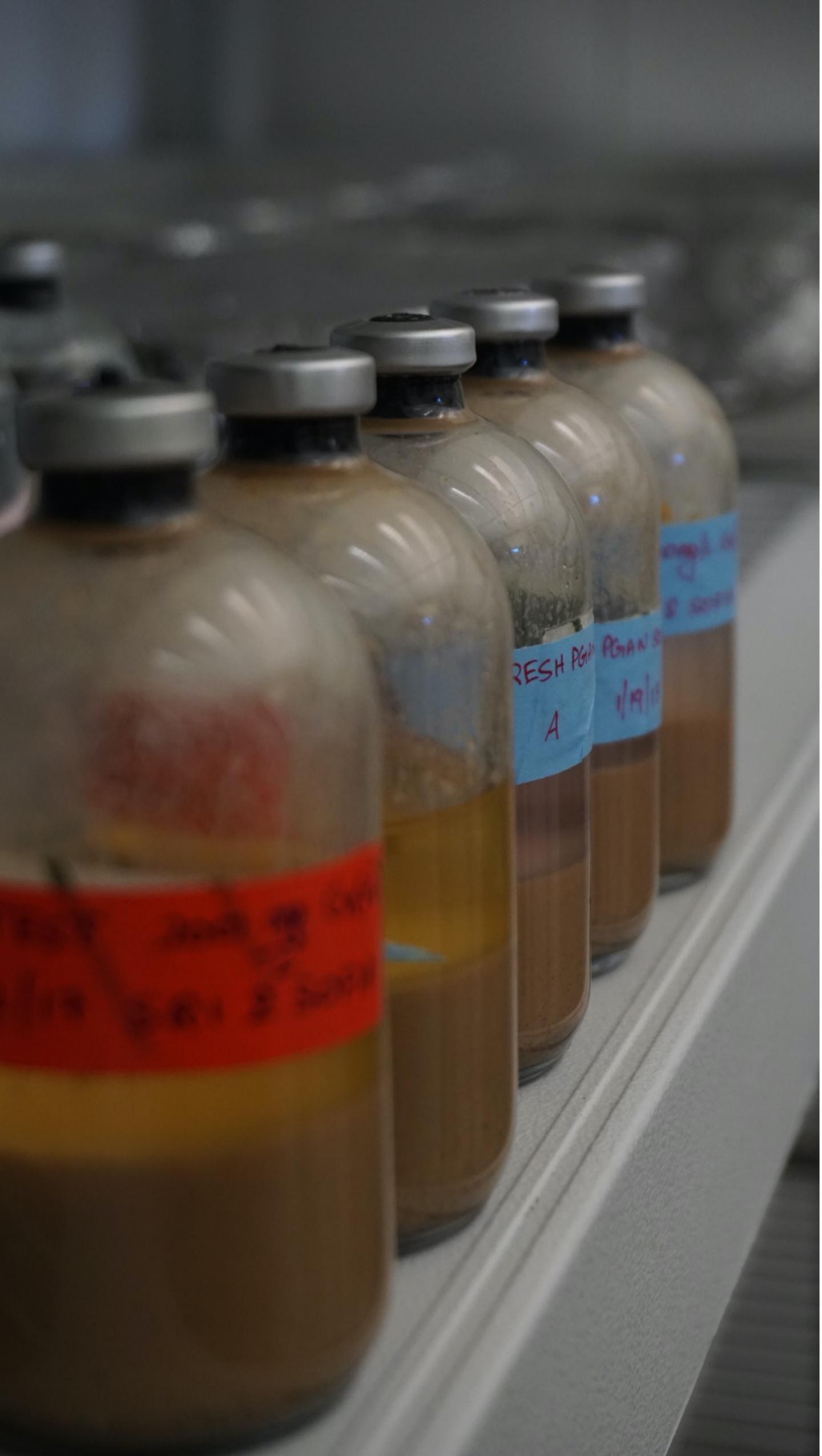 Microcosm samples [IMAGE] | EurekAlert! Science News Releases